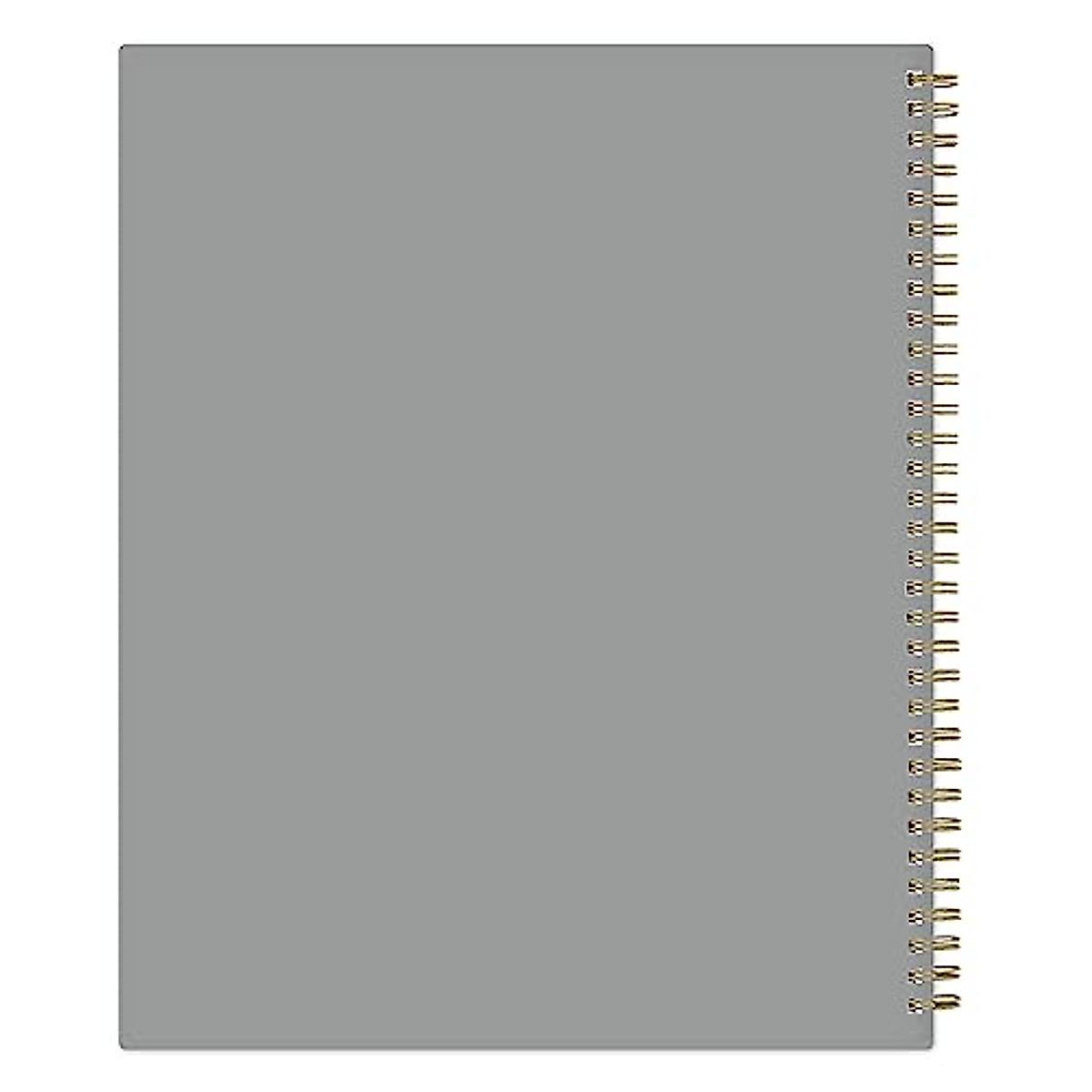 Blue Sky 2024 Weekly and Monthly Planner, January - December, 8.5" x 11", Frosted Cover, Wirebound, Sophie (144731)