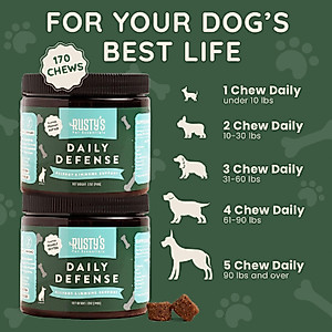 Premium Dog Allergy Relief & Immune Support (170 Chews) - Colostrum - Dog Probiotics - Promote A Healthy Gut - Support Against Seasonal Allergies - With Alaskan Salmon Oil - Turmeric - Made in The USA