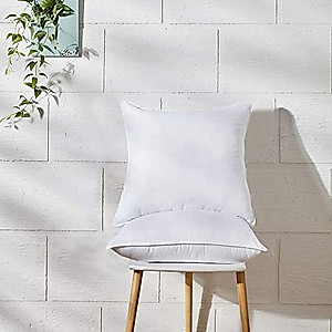 Seward Park Throw Pillow Inserts 20 x 20 in Set of 2 for Couch and Sofa, Soft Fluffy Square Form Down Alternative Cushion Decorative Pillow Inserts