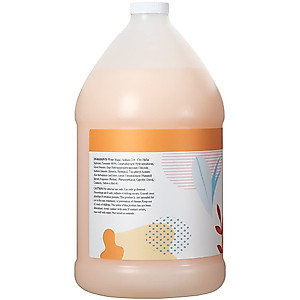 Ginger Lily Farms Botanicals Moisturizing Shampoo for All Hair Types, Coco Mango, 100% Vegan & Cruelty-Free, Coconut Mango Scent, 1 Gallon (128 fl oz) Refill
