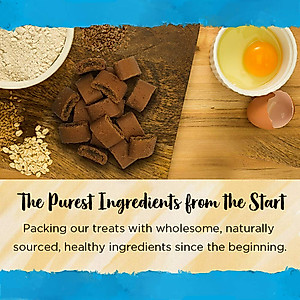 Blue Dog Bakery Natural Dog Treats, Softies, Peanut Butter Flavor, 16.2oz Bag, 1 Bag