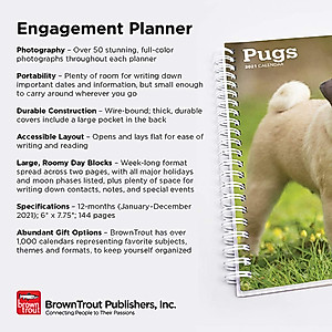 Dachshunds 2021 Calendar