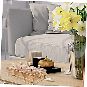 CIYODO Snacks Plate 1 set Kitchen Platter Fruits Dried Snack Fruit Plate Party with Candy Tray Nuts Serving Dish Snacks Condiments Appetizer Wedding Household Desserts for Dried Fruit Dish