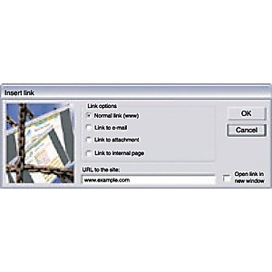 Do It Yourself Website