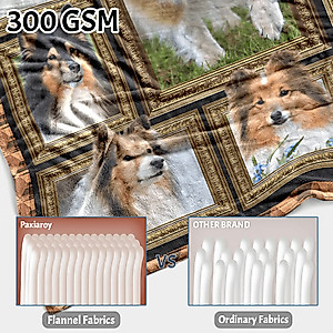 Sheltie Shetland Sheepdog Blanket, Fleece Throw Blanket for Couch Bed, Soft Cozy Warm Flannel Blankets and Throws for Sofa Living Room, Gifts for Dog Lovers, 50" x 60"