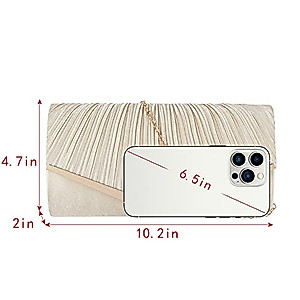 ZLM BAG US Satin Evening Bag Pleated Envelope Clutch Purse Wedding Party Prom Dress Handbag with Detachable Chain