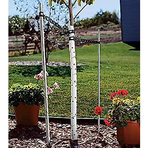 MASTER MARK TreeMaster Spiral Tree Protector, Plastic Tree Guard, Tree wrap, Tree bark Protection, Tree Tubes, 24" (2 Pack)