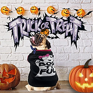 SGQCAR 4Pieces Dog Halloween Shirts Soft Cotton Ghost Skeletons Dog T-Shirt Funny Pet Pumpkin Head Costume for Small Dogs Puppy Cosplay Apparel (Pumpkin, Large)