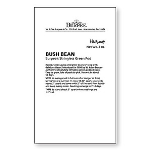 Burpee Stringless Green Pod Bush Bean Seeds 4 ounces of seed