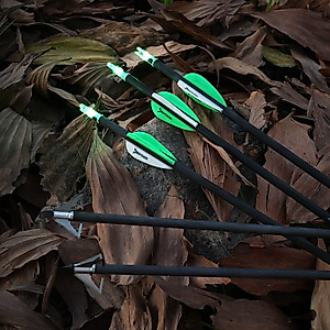 DEEPOWER 6 Pack 31 inch 100% Carbon Arrows with Lighted Nocks and Broadheads for Compound Bow and Recurve Bow Shaft Spine 350/400/500