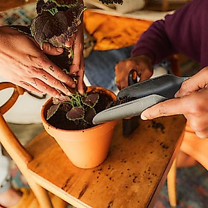 Fiskars Planting Soil Scoop and Brush Set Garden Tool for Indoor Gardening, Mess Control for Transplanting and Repotting, Made with Recycled Plastic
