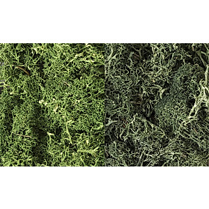 Dark Green Mix Lichen Woodland Scenics
