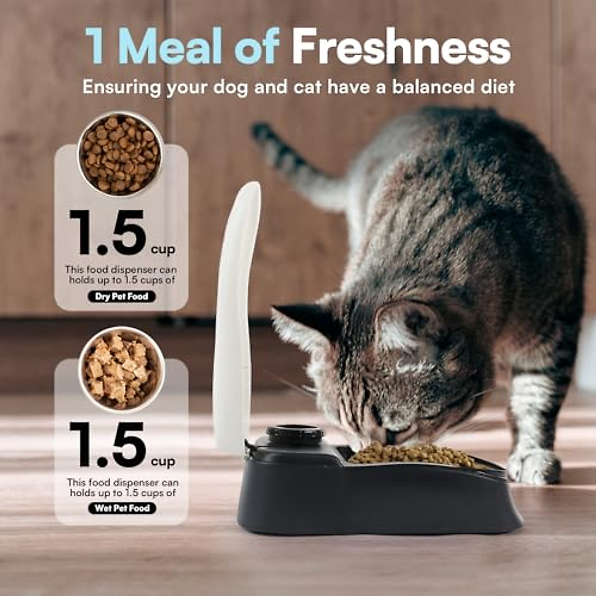 PAWISE Automatic Pet Feeder, Auto Dog Dry Food Dispenser with Timer for Cats and Dogs, Dog Automatic Feeder with Ice Pack (1 Meal)
