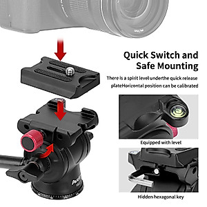 Avella Tripod Fluid Head Pan Tilt Head with Arca Type Quick Release Plate and Handle, Metal Panorama Head with Scaled Base for Compact Video Camera DSLR Camera, Load up to 6.6lb, V502