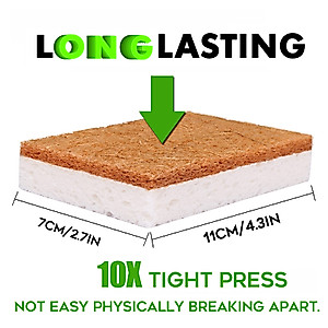 PANYEE Biodegradable Natural Kitchen Sponge，Eco Friendly Sponges for Dishes,Compostable Cellulose Sponge with Natural Plant Based Coconut Walnut Sustainable Scrubber Sponge Pack of 12