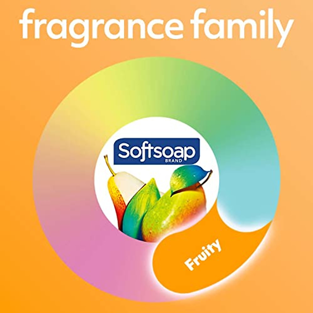 Softsoap Body Wash, Pomegranate & Mango Spritz Body Wash, 20 Fl Oz (Pack of 4)