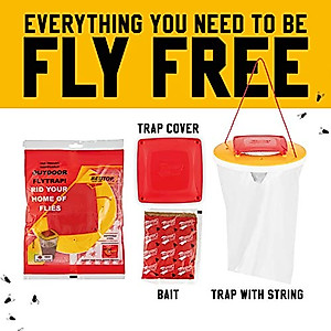 Redtop Flycatchers Standard Size - 100% Non-Toxic Disposable Outdoor Fly Trap - Designed to Attract Egg-Laying Females (4)