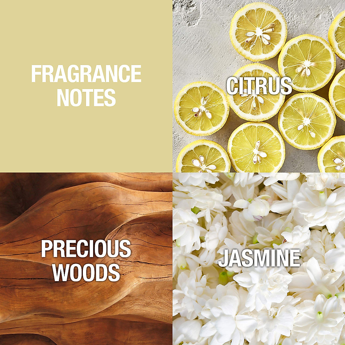 Women's Fragrance by Alfred Sung, Sung Eau De Toilette EDT Spray, 3.4 Fl Oz