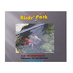 Anti Bird Net-Bird Protection Net Protection from Pigeon Birds & Cat Size: 8x6' (High Density Polyethylene (HDPE)