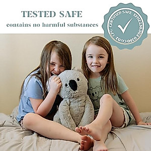 BAM + Crew Big Stuffed Animals - 16" Distributed 4lbs Koala Large Stuffed Animal for Adults & Kids - A Cuddly Koala Bear Cute Plush Toy Pillow, Gifts for Adults, Kids, Boys and Girls