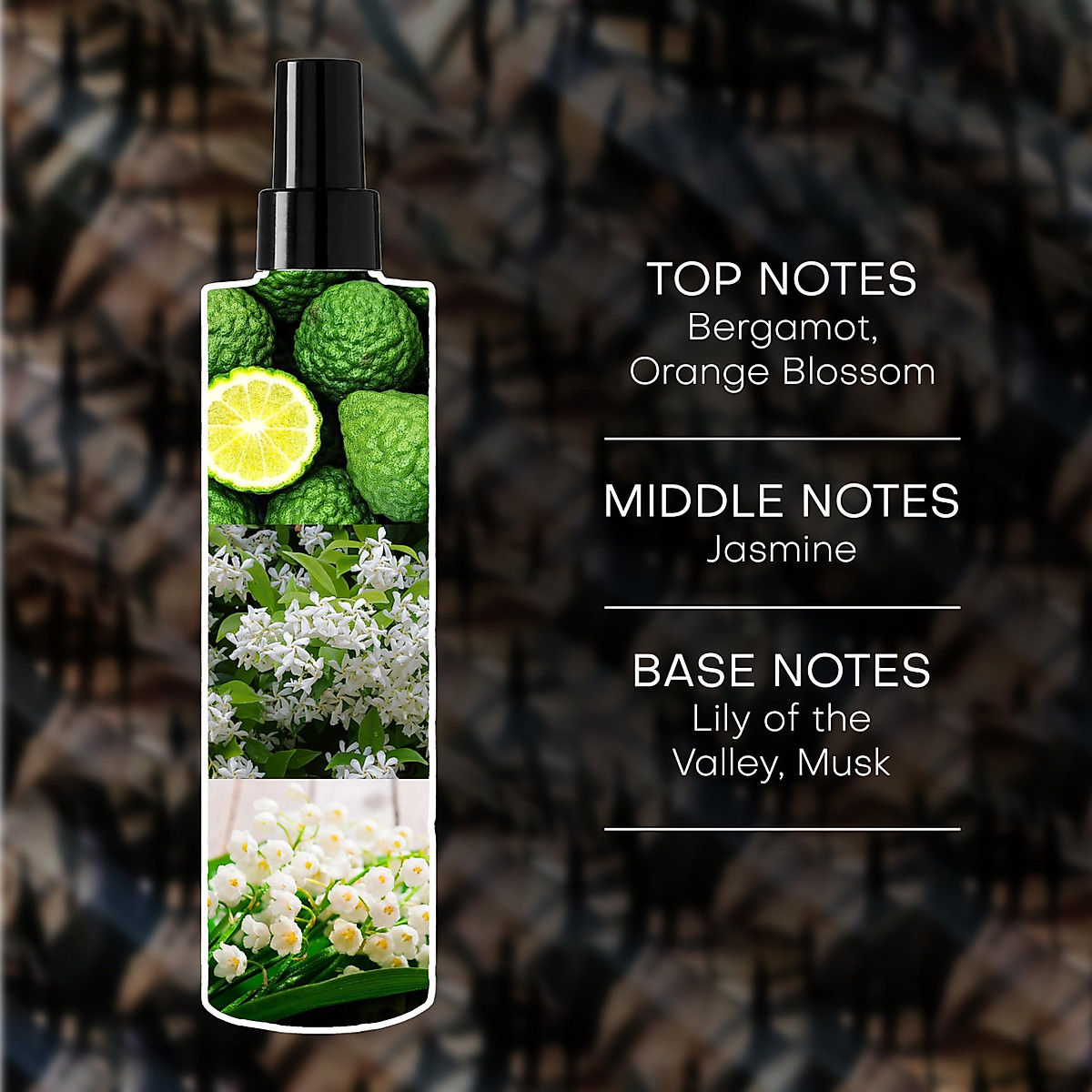 RACHEL ZOE Warrior Fragrance Mist - Body Spray For Women - Body Mist With Magnolia, Mandarin, And Rose Notes - Womens Hair And Body Fragrance - 10 oz