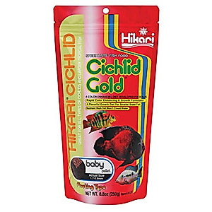 Hikari Cichlid Gold Floating Baby Pellets for Pets, 8.8-Ounce