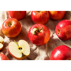 5 Gala Apple Tree Seeds, Sweet Apple Fruit Bush Seeds Ornament Perennial Garden Plating