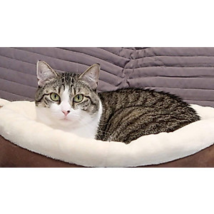 PET SUPPLEMENTS & NUTRITION LLC Extend Joint Care for Cats - Cats Joint Health with Turmeric - MSM - Natural Support for Hip and Joints - Organic Turmeric for Cats - 3 Bottles (180 Tablets)