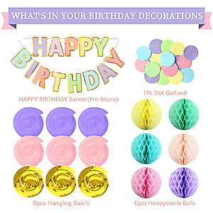 LITAUS, Birthday Decorations, NO DIY - Pack of 17 | Macaron Happy Birthday Banner, Honeycomb Balls, Swirls, Garland | Happy Birthday Decorations | Birthday Party Decorations