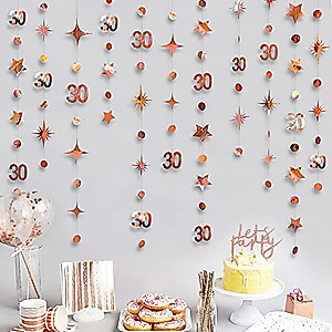 Rose Gold 30th Birthday Decorations Number 30 Circle Dot Twinkle Star Garland Metallic Hanging Streamer Bunting Banner Backdrop for Her Dirty 30 Year Old Birthday Thirty Anniversary Party Supplies