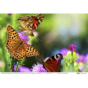 IBM Remanufactured Toner Cartridge - Alternative for HP 312A (CF381A)