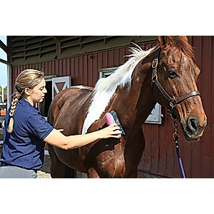 Oster Equine Care Series Horse Grooming Brush, Stiff Bristle, Pink (0-34264-41960-5)
