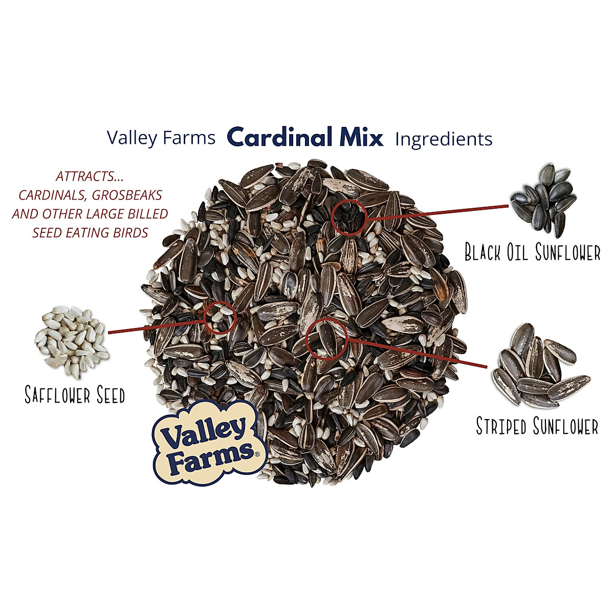 Valley Farms Cardinal Mix Wild Bird Food for Outside Feeders, Bird Seed with Black Oil Sunflower Seeds and Safflower Seeds, Attract a Variety of Wild Birds, 3 LBS 2-Pack (6 LBS Total)