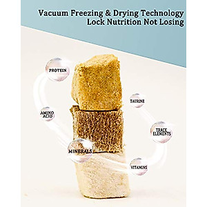 BNYEE 3 in 1 Meat Turtle Food - Chicken & Duck & Fish Meat Natural Freeze Dried Human-Grade Turtle Treats