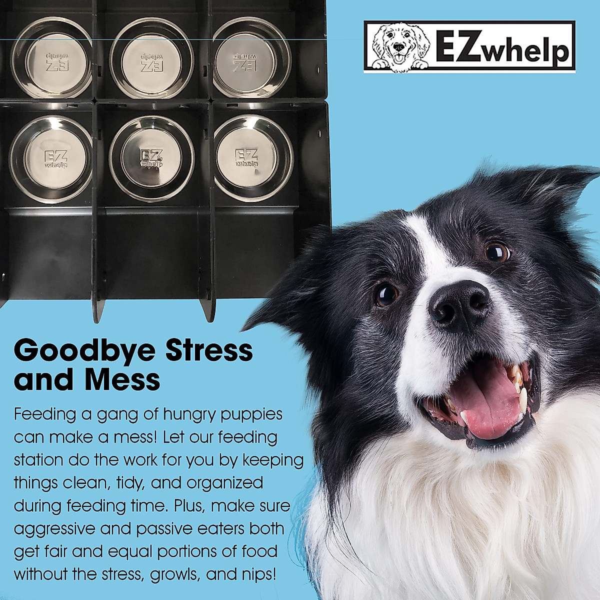 EZWhelp Modular Puppy Feeding Station — Food-Grade Stainless Steel Puppy Bowls for Puppies, Weaning Bowls, Multiple Puppy Feeding, Perfect Litter Separation & Weaning, No-Flip Design - (2 Pack)