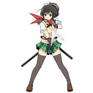 Senran Kagura - Secret File-visual Book and Soundtrack Drama Cd Set - With Benefits Girls - Shin'ei of Girls