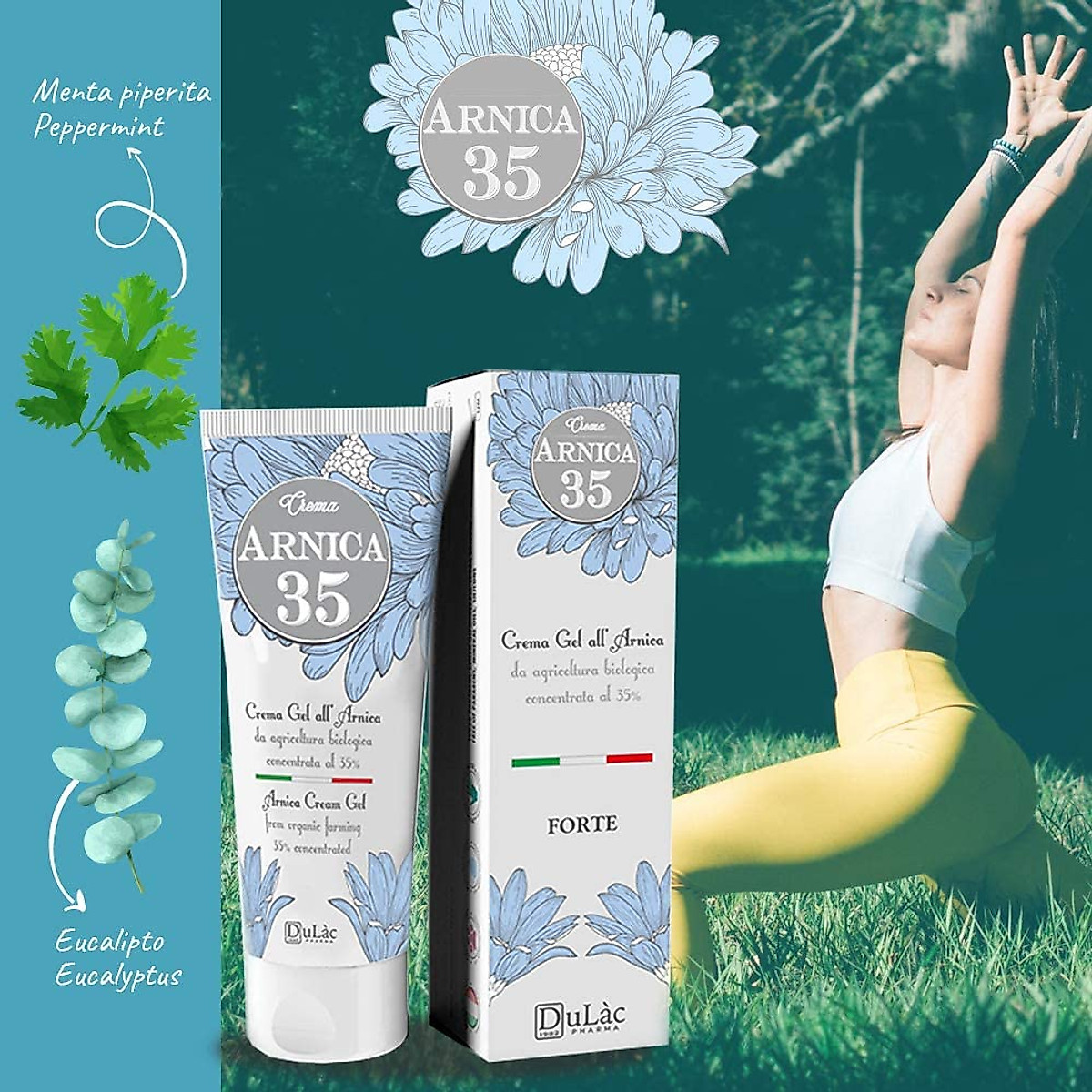 Dulàc - Arnica Cream 2.53 Fl Oz Rich in Organic Arnica Montana Extracts, Arnica Bruise Cream Extra Strength Also Ideal for Muscle and Joint Relief, Swelling and Edema