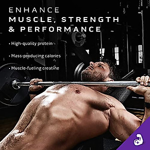 Mass Gainer, MuscleTech 100% Mass Gainer Protein Powder, Protein Powder for Muscle Gain, Whey Protein + Muscle Builder, Weight Gainer Protein Powder, Creatine Supplements, Chocolate, 5.15 lbs