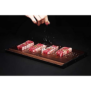 That! Inventions ThawTHAT Deluxe Defrosting Plate, Copper