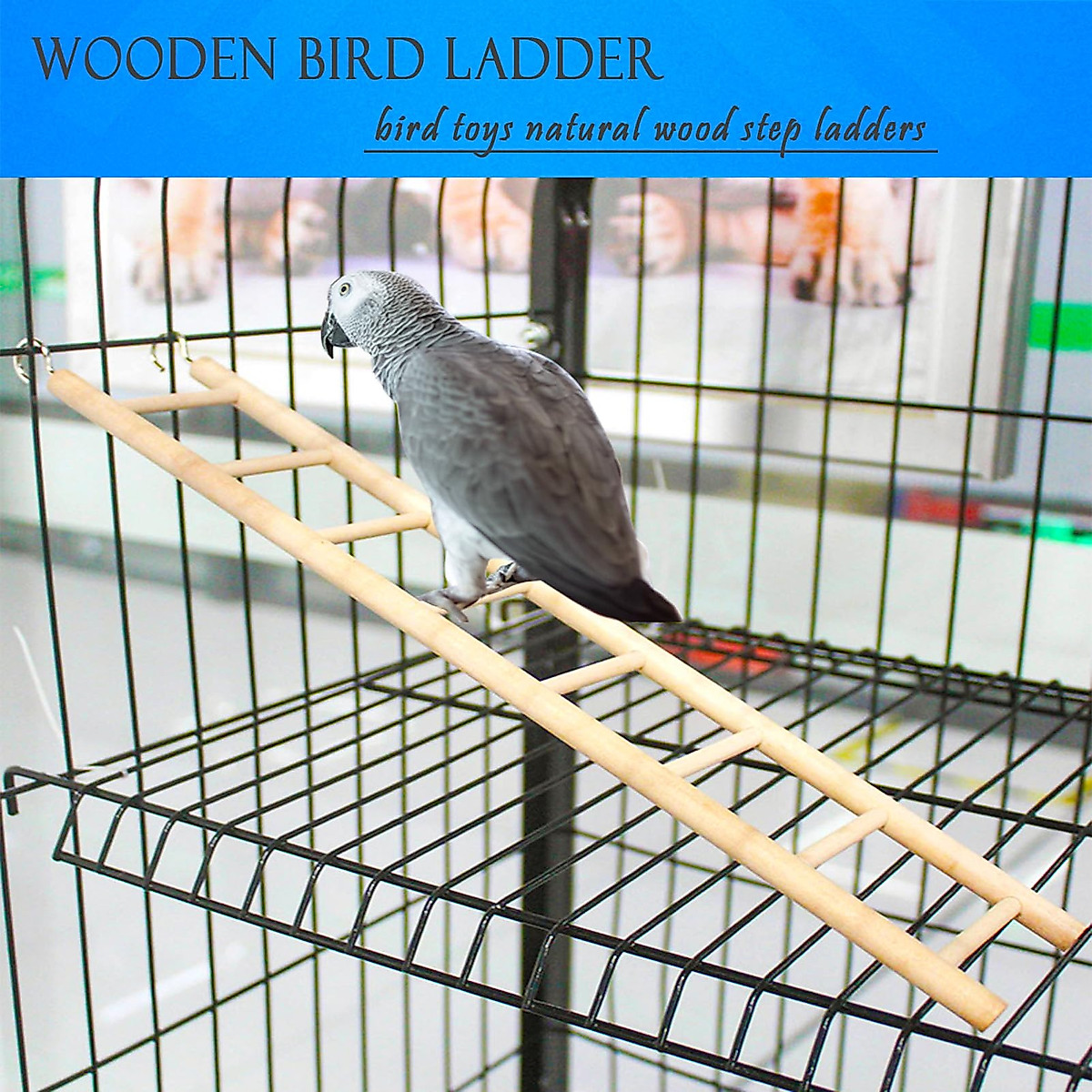 LWINGFLYER 2pcs Birdie Basics Wooden Ladder for Bird Cage Climbing Ladder Toy for Parakeets Parrots Cockatoo (6 Step & 8 Step)