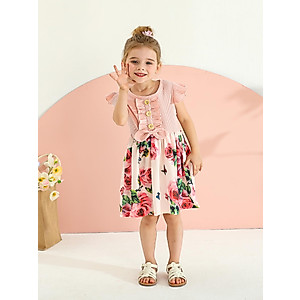 Toddler Infant Baby Girl Dress Floral Ruffle Sleeve Dresses Girls Sundress (4-5T) Pink