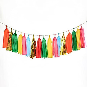 Autupy 35 PCS Taco Bout a Party Tassel Garland Tissue Paper Tassels Banner DIY Kit Baby Shower Party Taco Tuesday Fiesta Party Bachelorette Llama Party Decorations