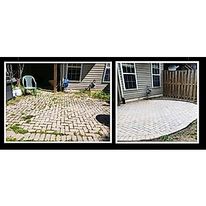 Lonarch Weed & Grass Killer (32 Ounce Concentrate) Eco-Friendly Solution - Safe for Pets, People, and Wildlife…