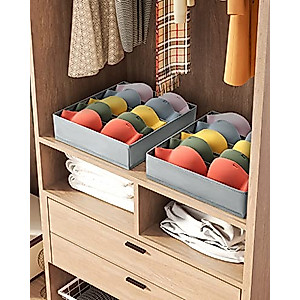 DIMJ 2 Pack Bra Drawer Organizers, 5 Cells Underwear Organizer Drawer Bra with Divider Zip Storage Cabinet Organizer Fabric Box for Bra, Socks, Ties, Belts (Grey)