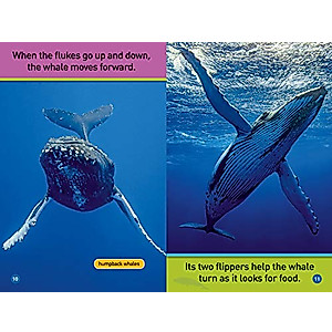 Whales (National Geographic Kids Readers, Pre-Reader)