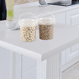 Xyskin 10 Pack Round Plastic Bucket Food Storage Containers, 28 oz Ice Cream Buckets with Lid and Handle, Clear