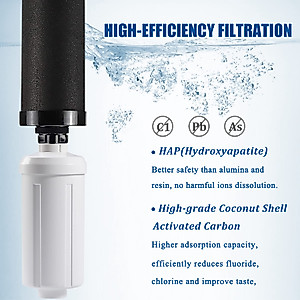 BB9-2 Black and PF-2 Fluoride Water Filter Replacement, Compatible with Berkey Gravity Filtration System Purification Elements Doulton Super Sterasyl and Traveler, Nomad, King, Big Series