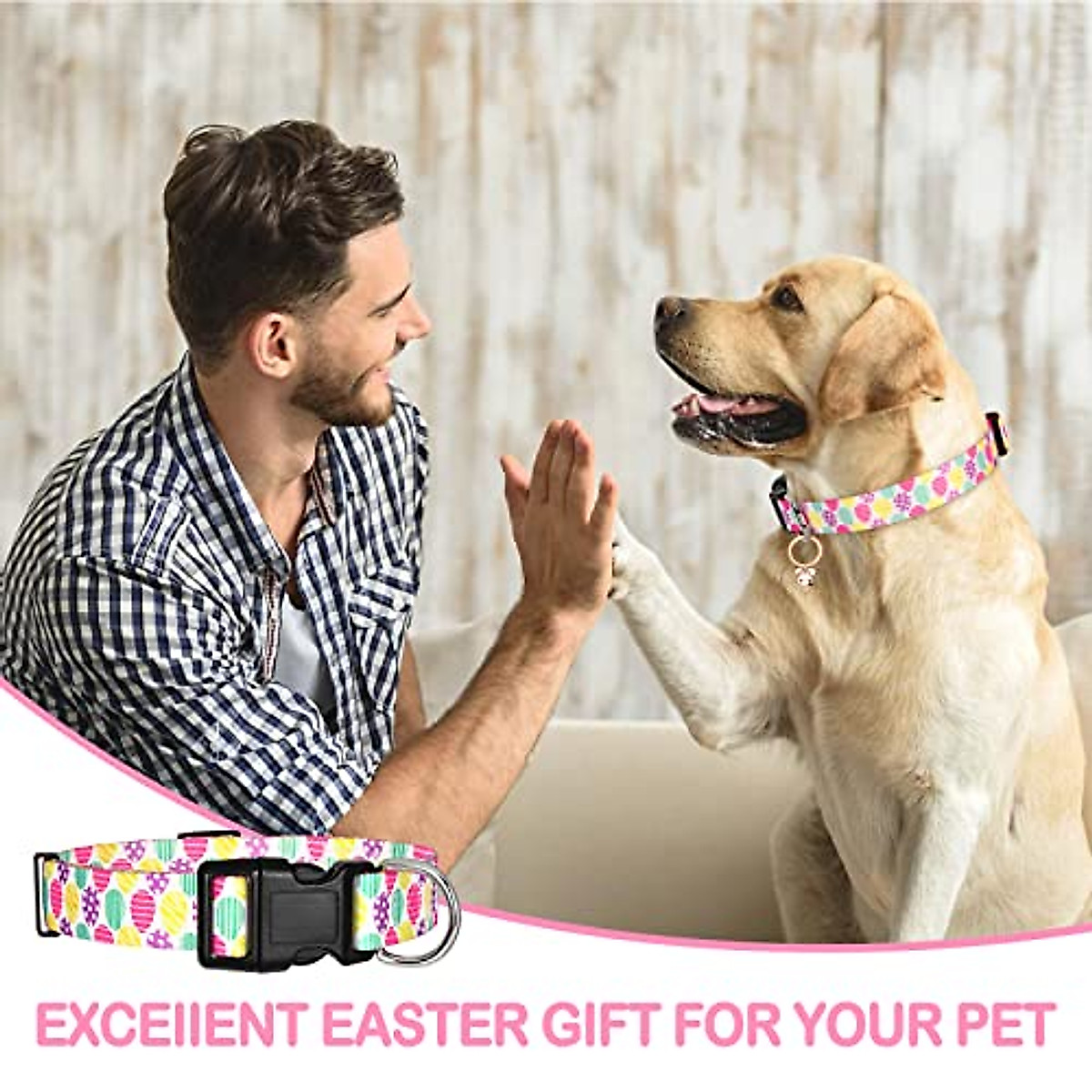 Blahhey Easter Dog Collar for Small Medium Large Dogs, Adjustable Comfortable Dog Collar with Plastic Buckle, Easter Gift for Your Dogs, Cats, Pets, Easter Egg, Rabbit Pendant