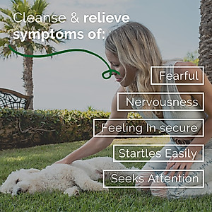 Siddha Remedies Abandonment & Separation for Pets | Natural Homeopathic Remedy for Dogs, Cats, and Animals | Naturally Helps Animals with Fears and Obsessive Behaviors | Supports Healthy Independence