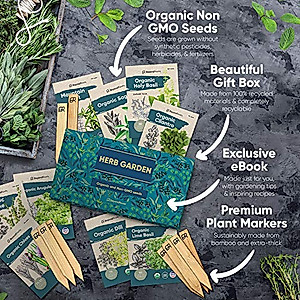 9 Herb Garden Seeds for Planting - USDA Certified Organic Herb Seed Packets - Non GMO Heirloom Seeds - Plant Markers & Gift Box - Tulsi Holy Basil, Cilantro, Mint, Dill, Sage, Arugula, Thyme, Chives